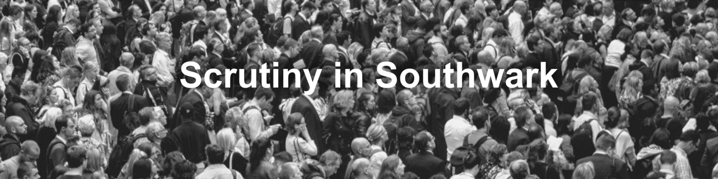 Folder: Scrutiny in Southwark | London Borough of Southwark